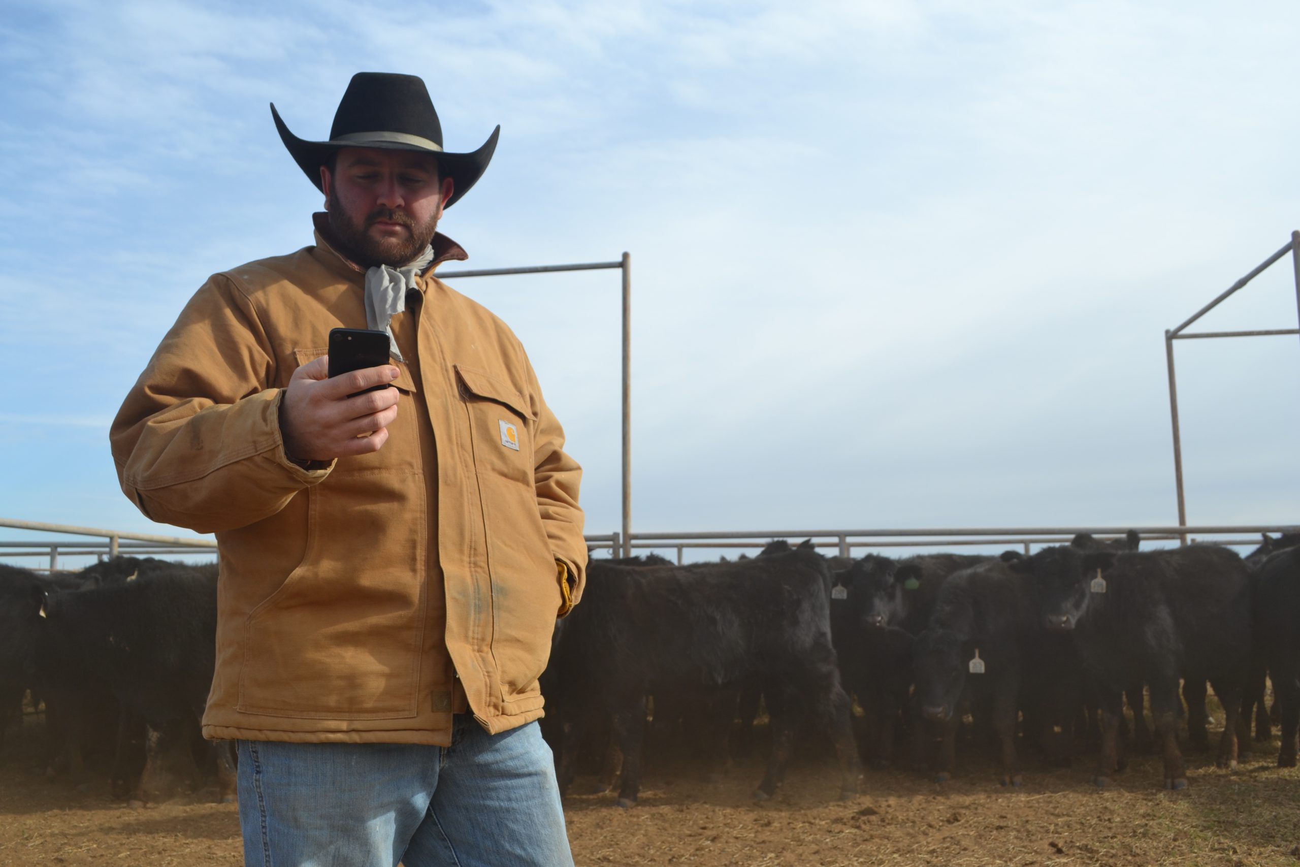 Home Herd Connect